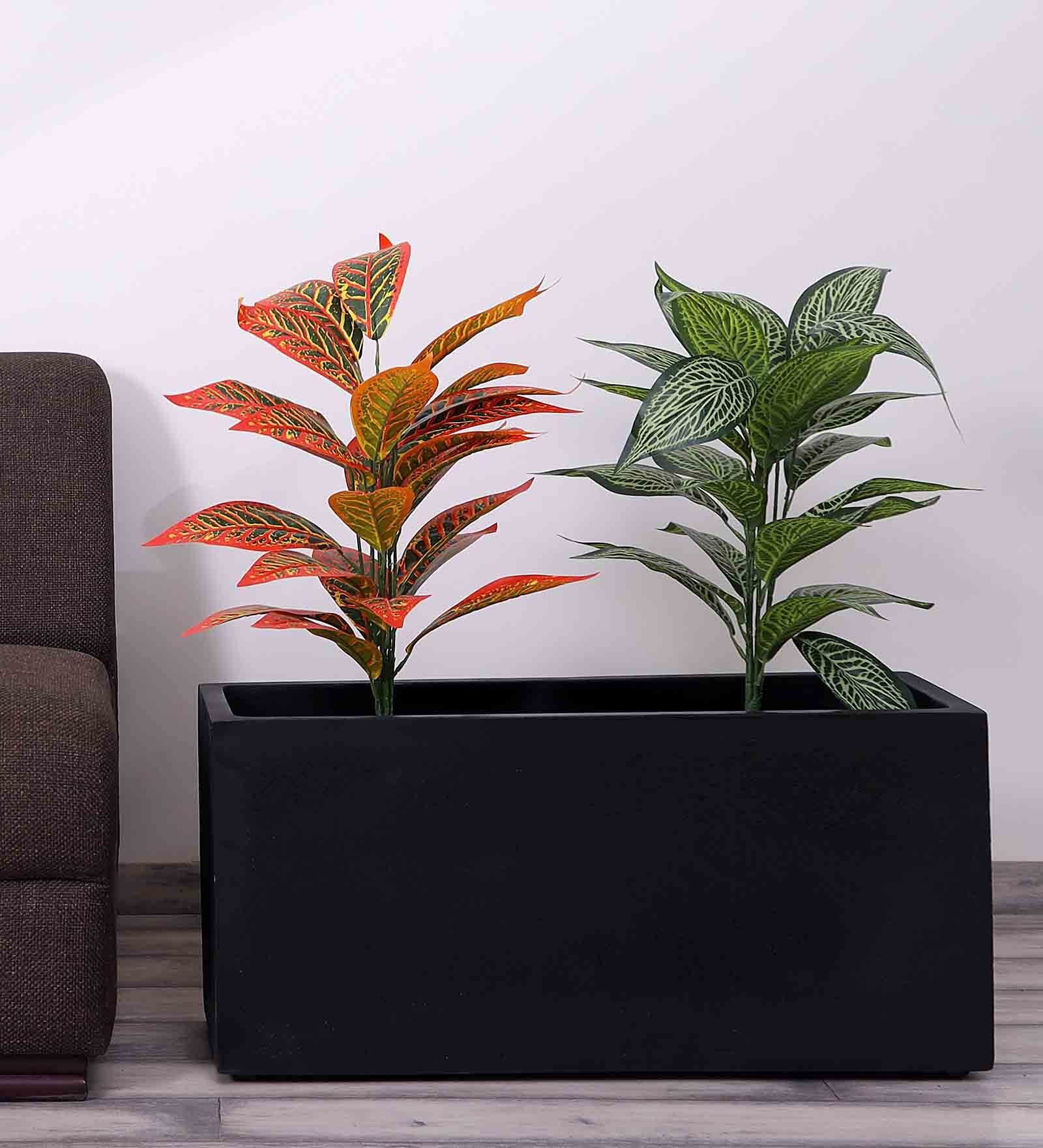 Buy Black Large Fiberglass Rectangle Shape Floor Planter Online - Floor ...