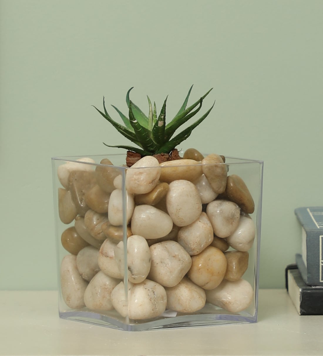 Buy Cube Acrylic Desk Pot Online - Desk Pots - Pots & Planters - Home ...