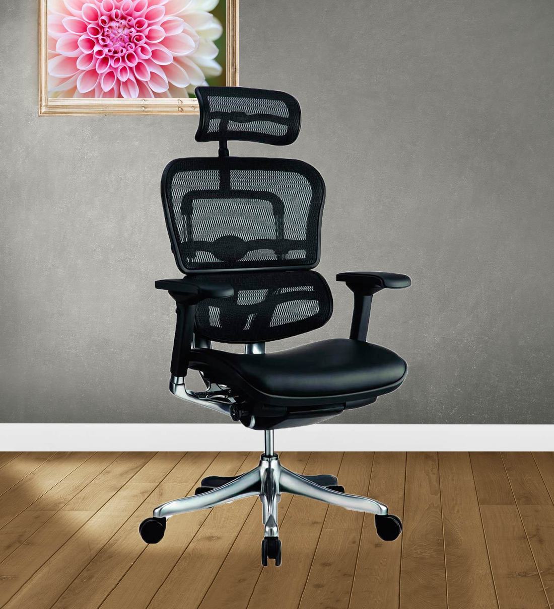 Buy Ergo Human Elite Ergonomic Chair in Black Colour Online - Ergonomic ...