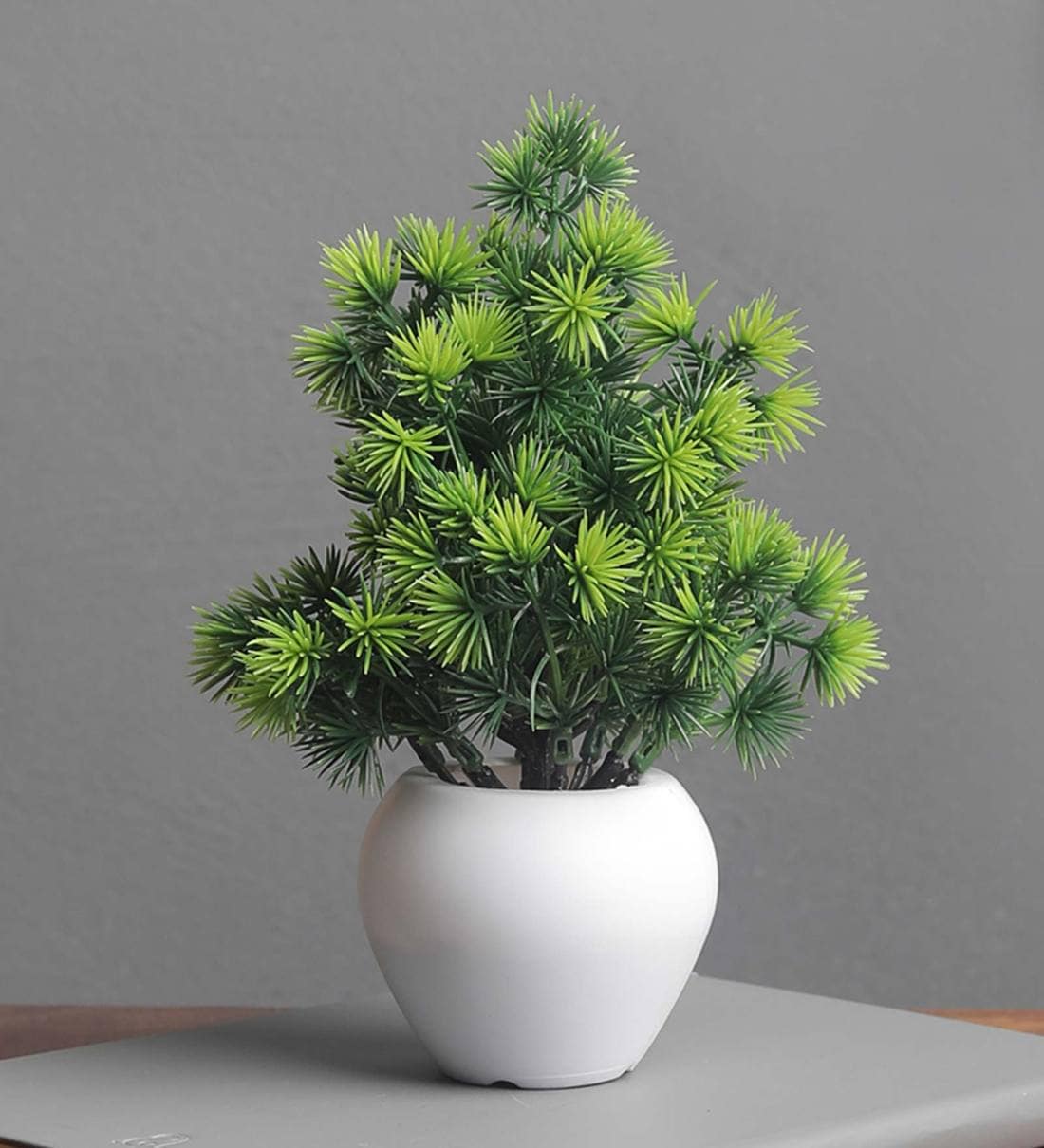 Buy Plastic Green And Blend Pine Leaves Mini Tree With Pot Artificial ...