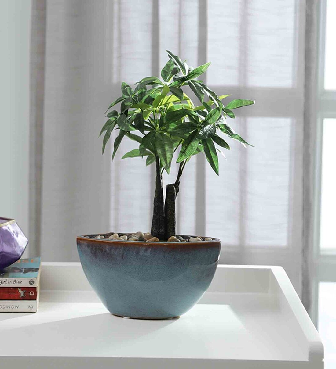 Buy Plastic Avys Green Bonsai Artifical With Pot Artificial Plant ...