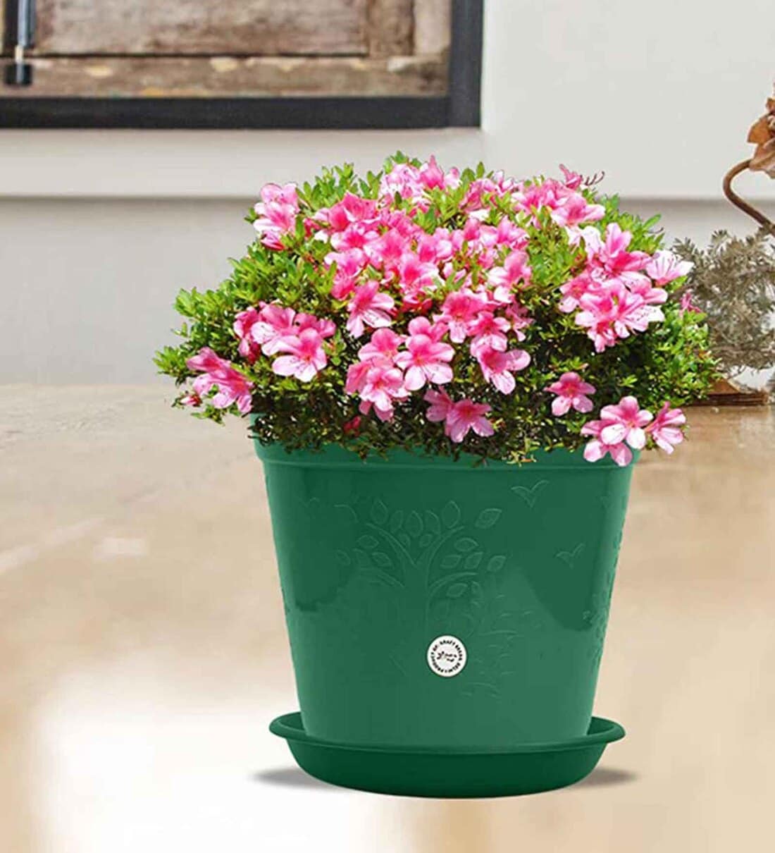 Buy Green Plastic Round Shape Planter Set Of (10) at 46% OFF by Kraft ...