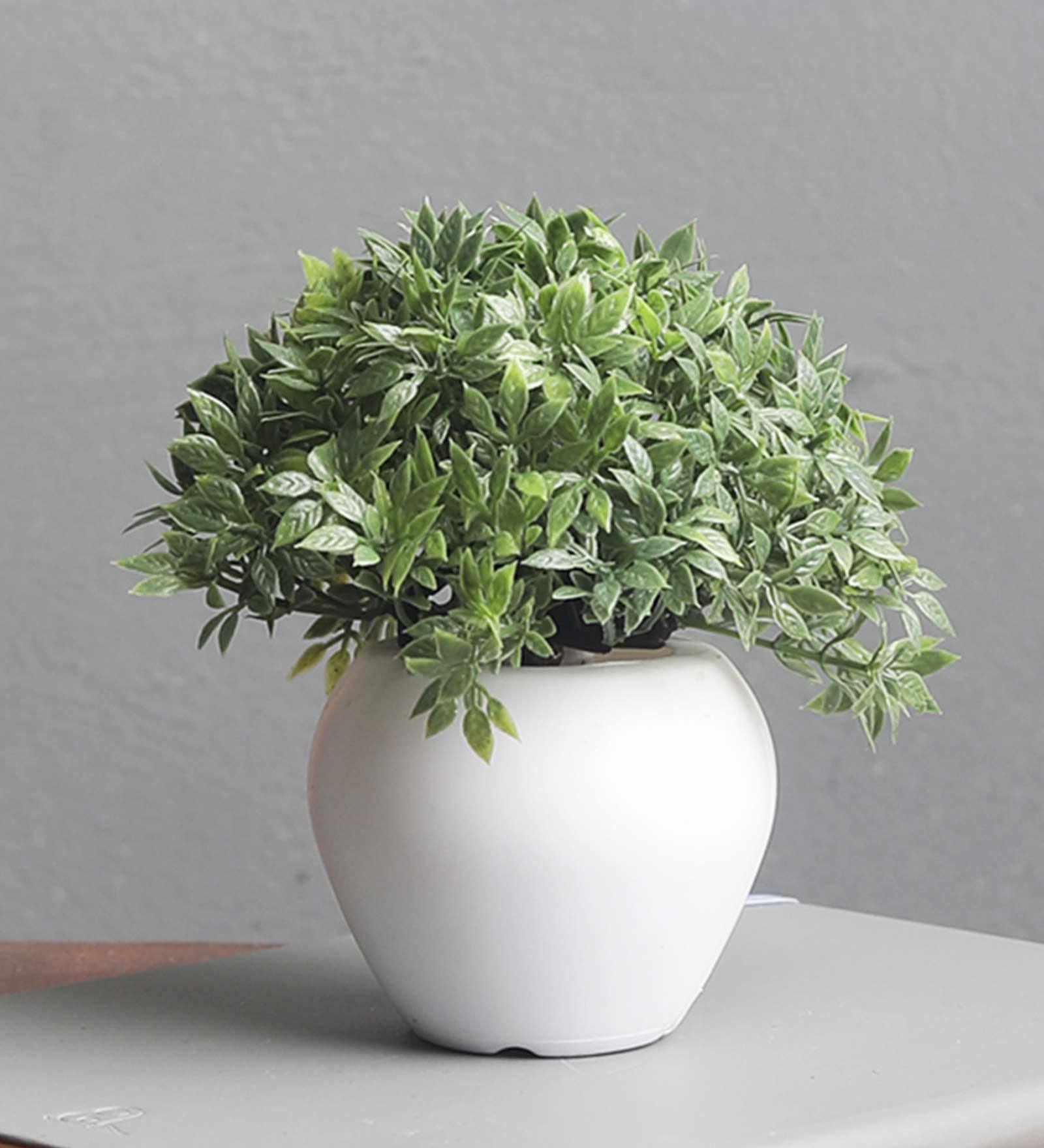 Buy Plastic Green And Blend Small Leaves Mini Tree With Pot Artificial ...