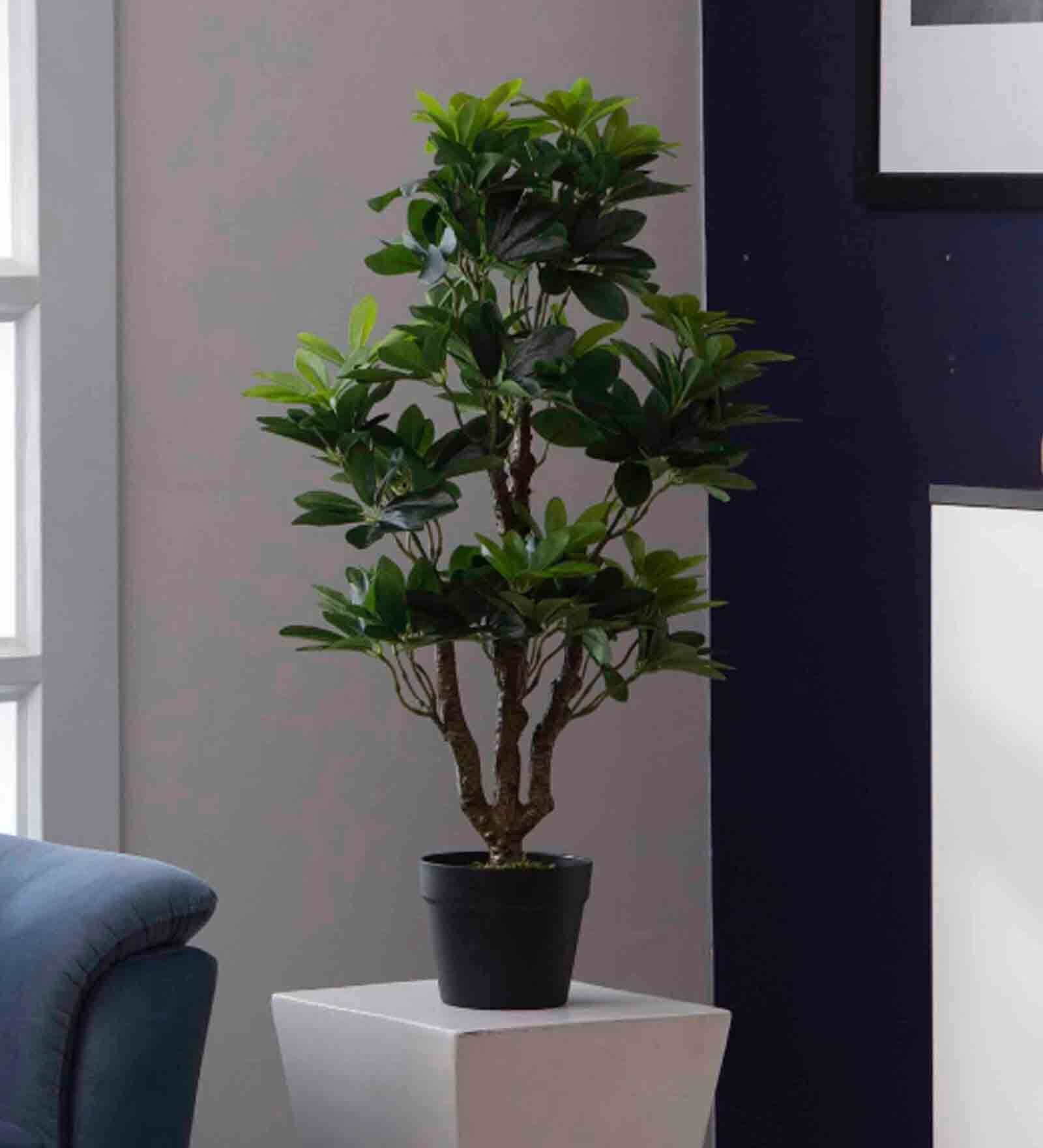 Buy Polyester Green Schefflera With Pot Artificial Plants at 27% OFF by ...