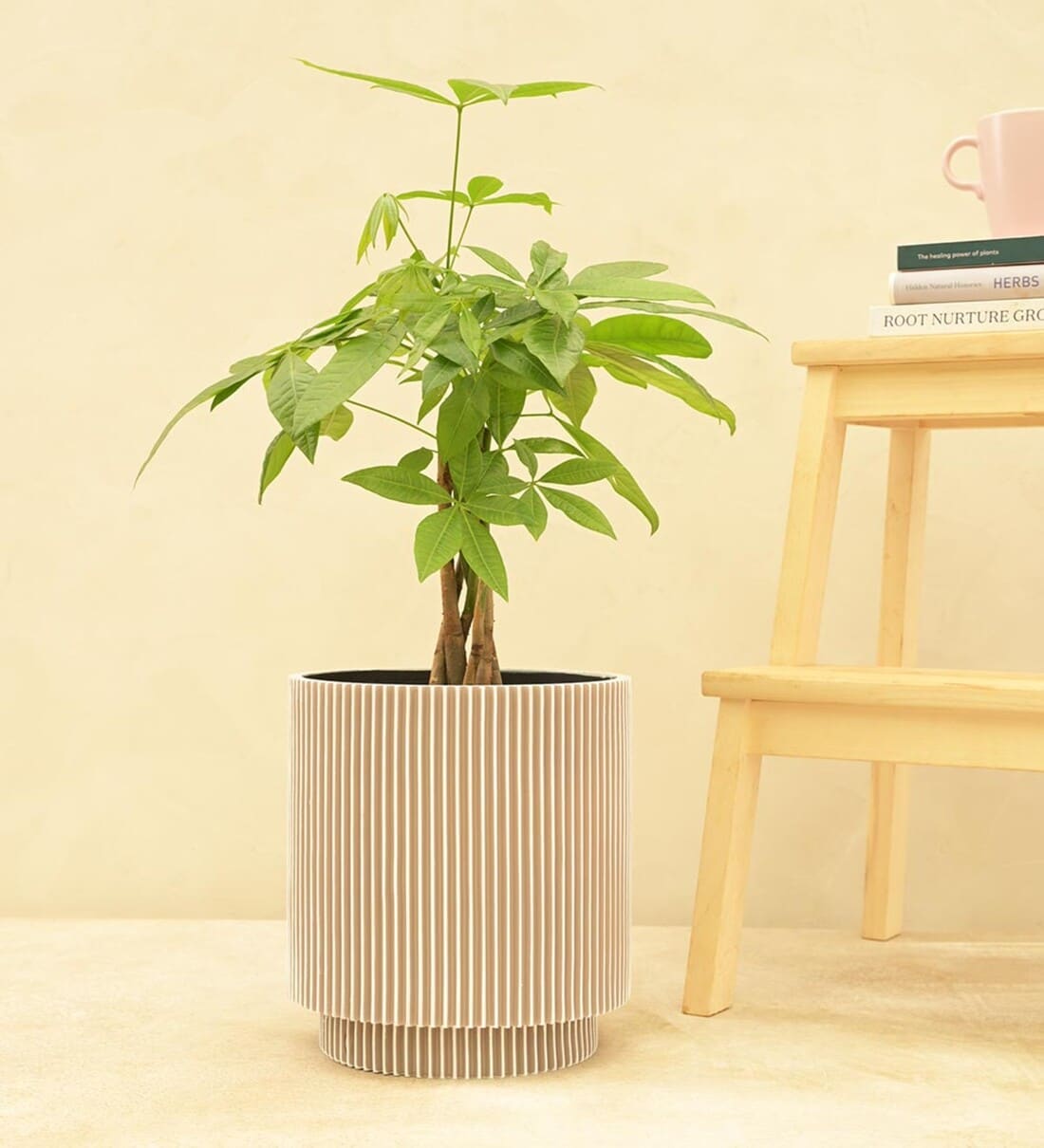 Buy Ivory Plastic Cylinder Groove Medium Floor at 26% OFF by Ugaoo ...