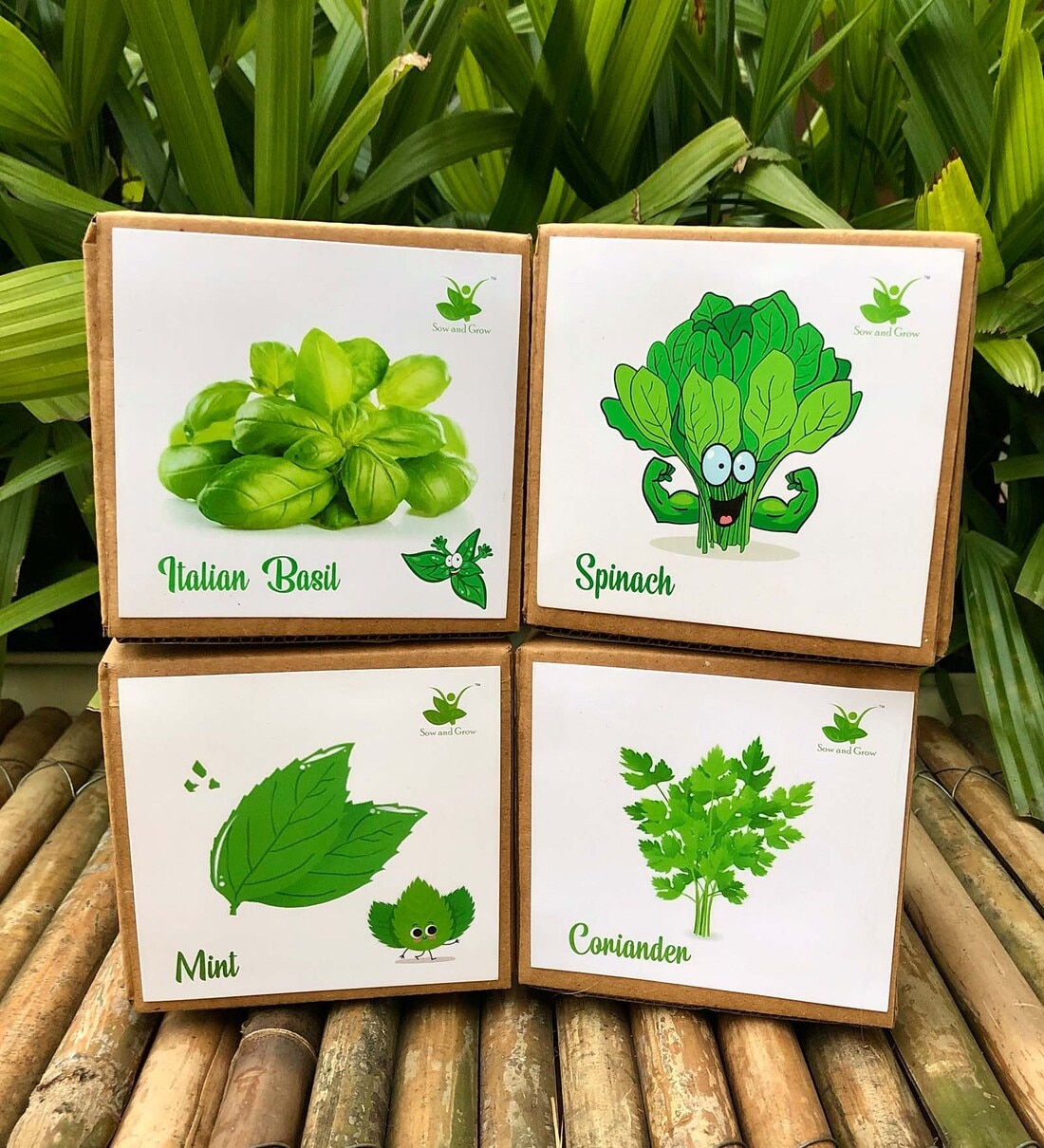 Buy Mint, Coriander, Italian Basi and Spinach Green seed Gardening Kit ...