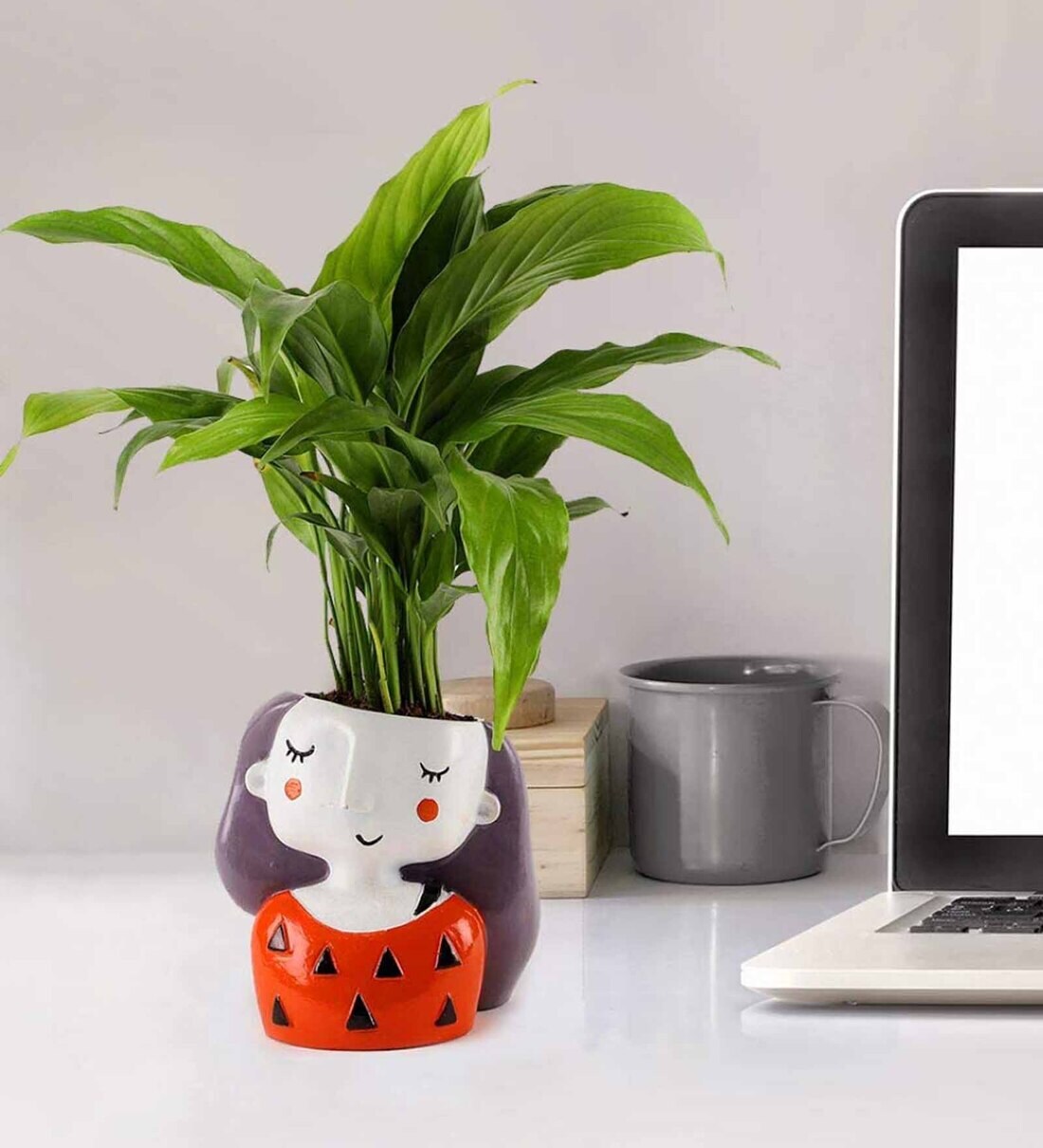 Buy Money & Peace Lily Natural Plant in Multicolour Pot by Ferns N ...