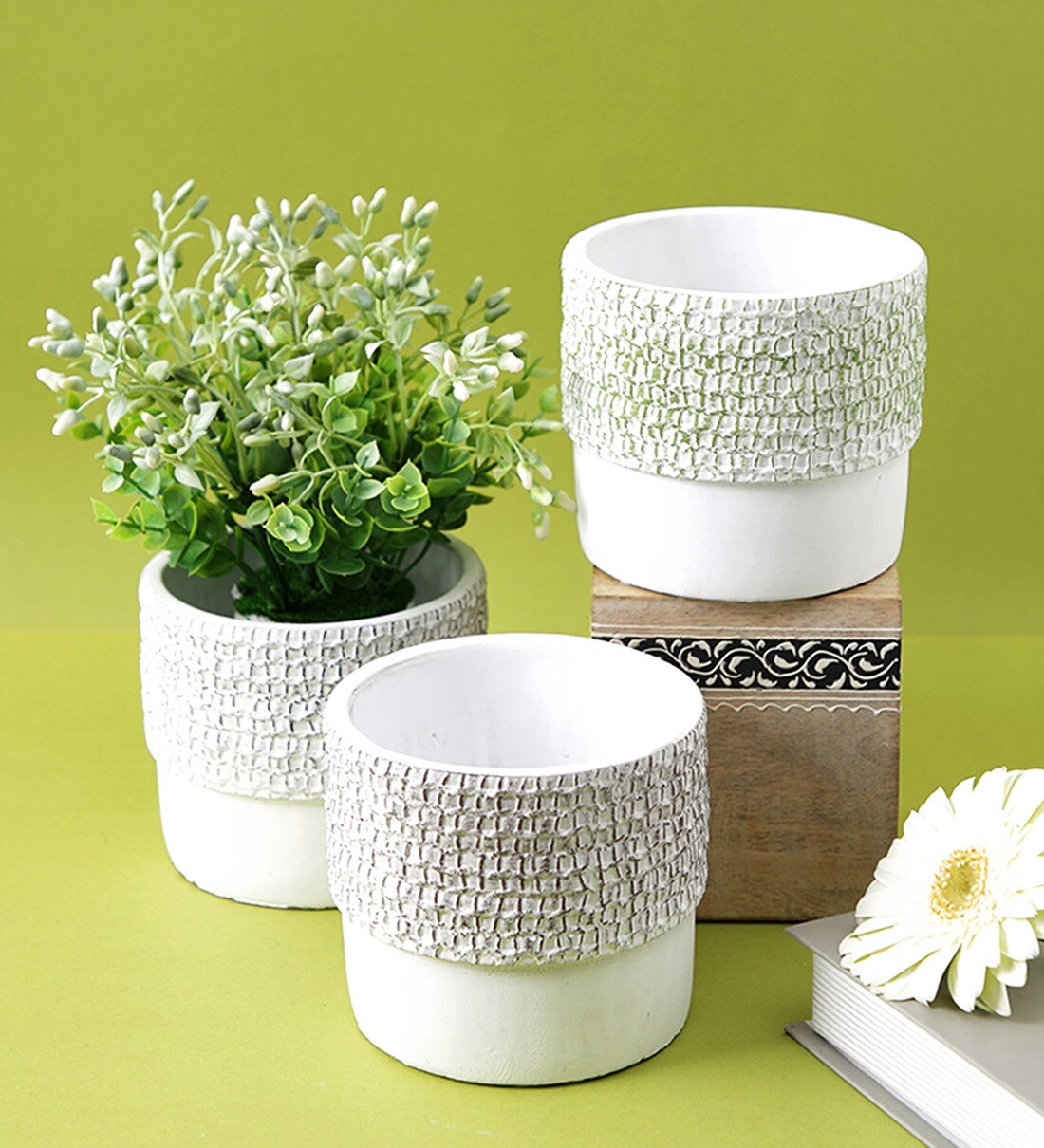 Buy Multicolour Ceramic (Set of 3) Planter by Tayhaa at 71% OFF by ...