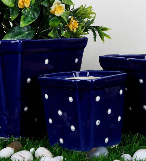 Buy Navy Blue Ceramic Casket Shape With Dot Print Small Size Planter ...