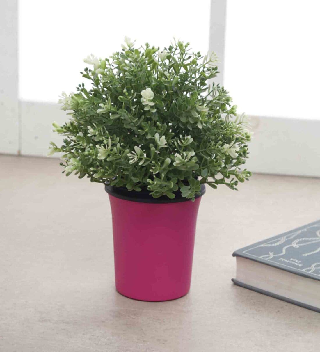 Buy Plastic Pink Planter By Planters at 40% OFF by Planters | Pepperfry