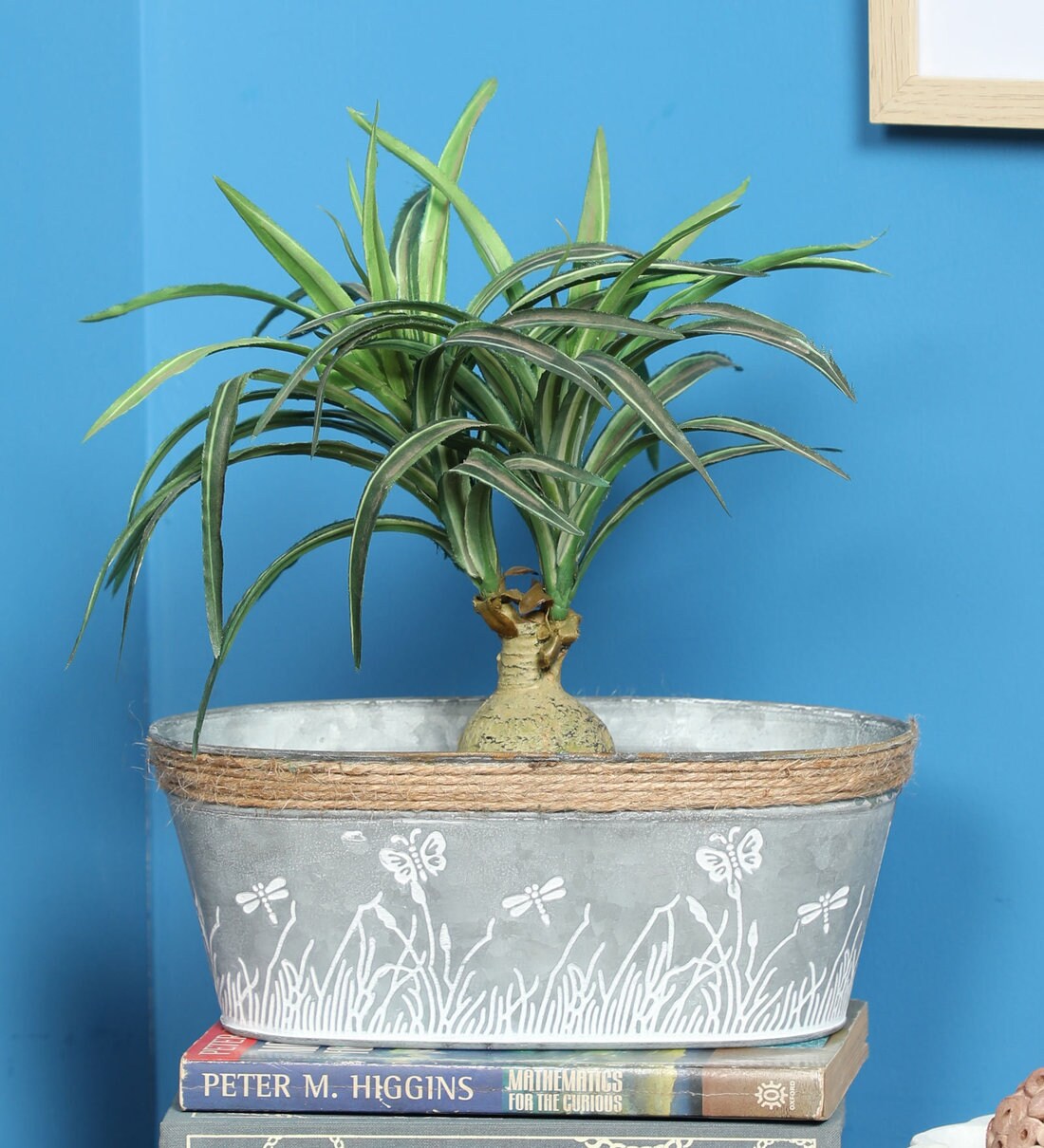 Buy Oval Ava Trough Lined Metal Vase by Oasis Floral Products Online ...