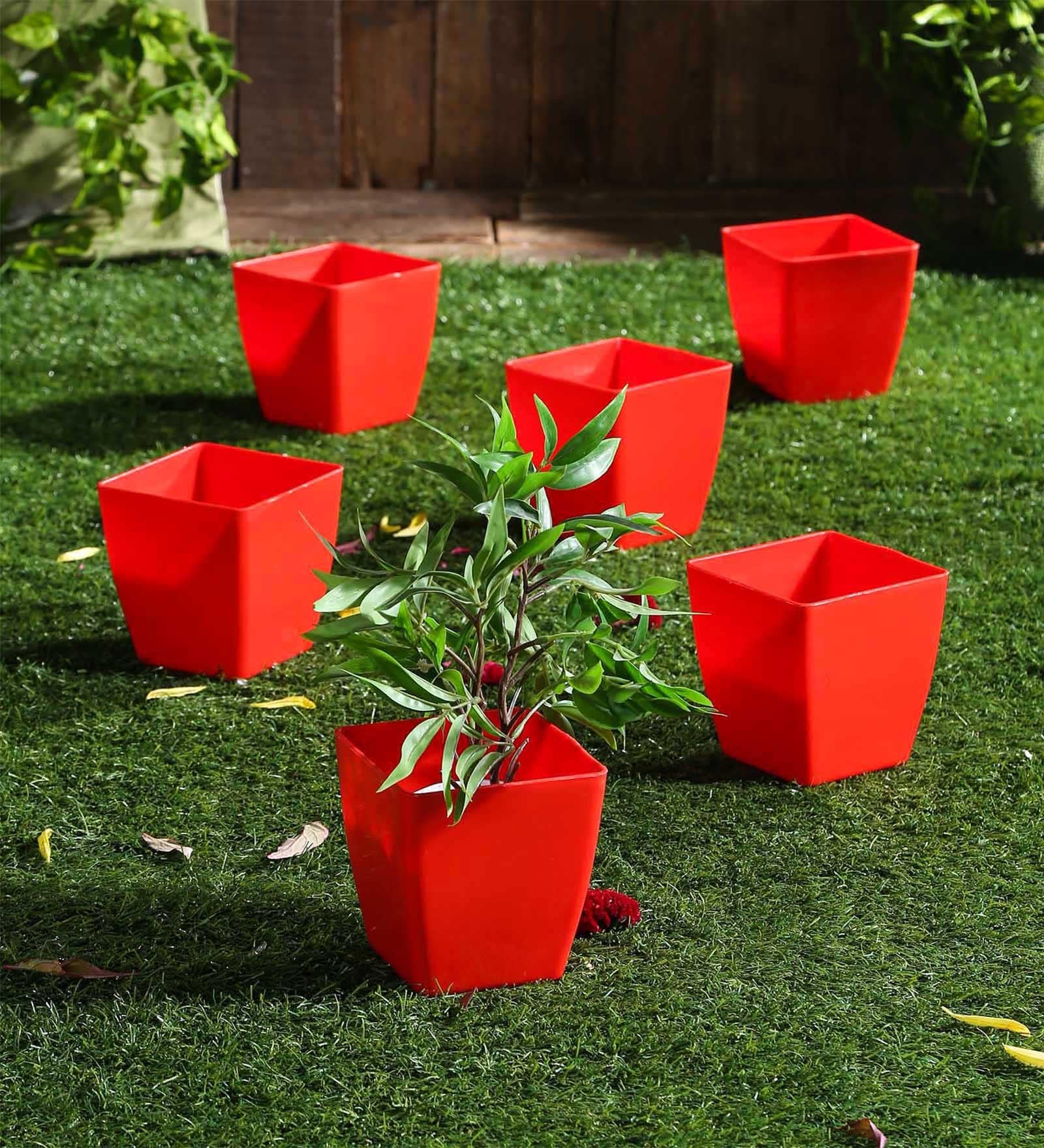 Buy Red Plastic Planter - Set Of 6 By Meded Online - Desk Pots - Pots ...