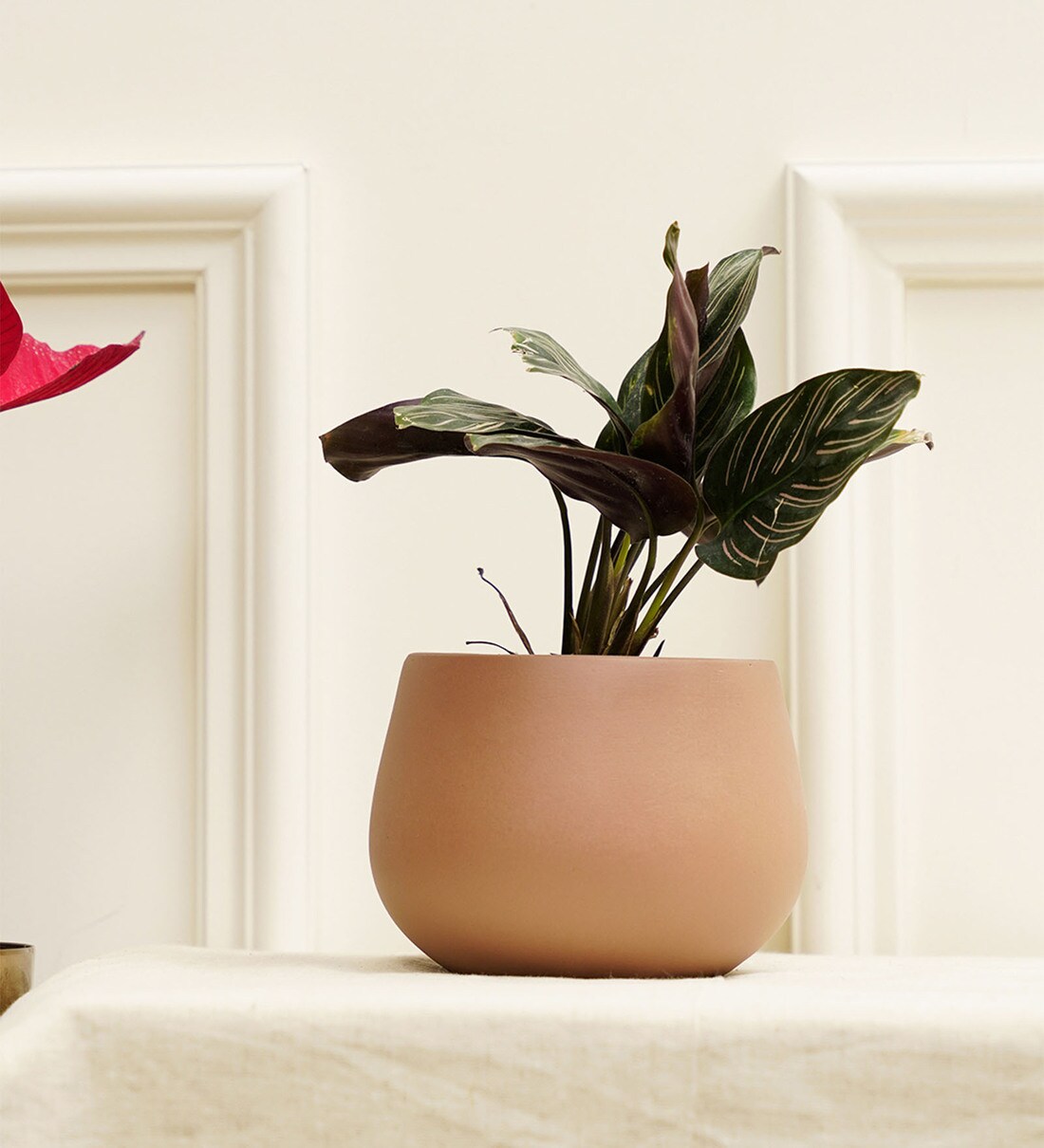 Buy Mesa Rose Gold Terracotta Desk Pot by Purezento at 49% OFF by ...