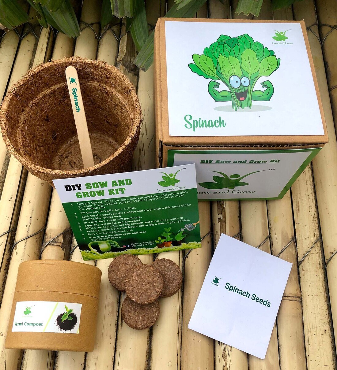 Buy Spinach (Palak) Vegetable seed Gardening Kit by Sow and Grow Online ...