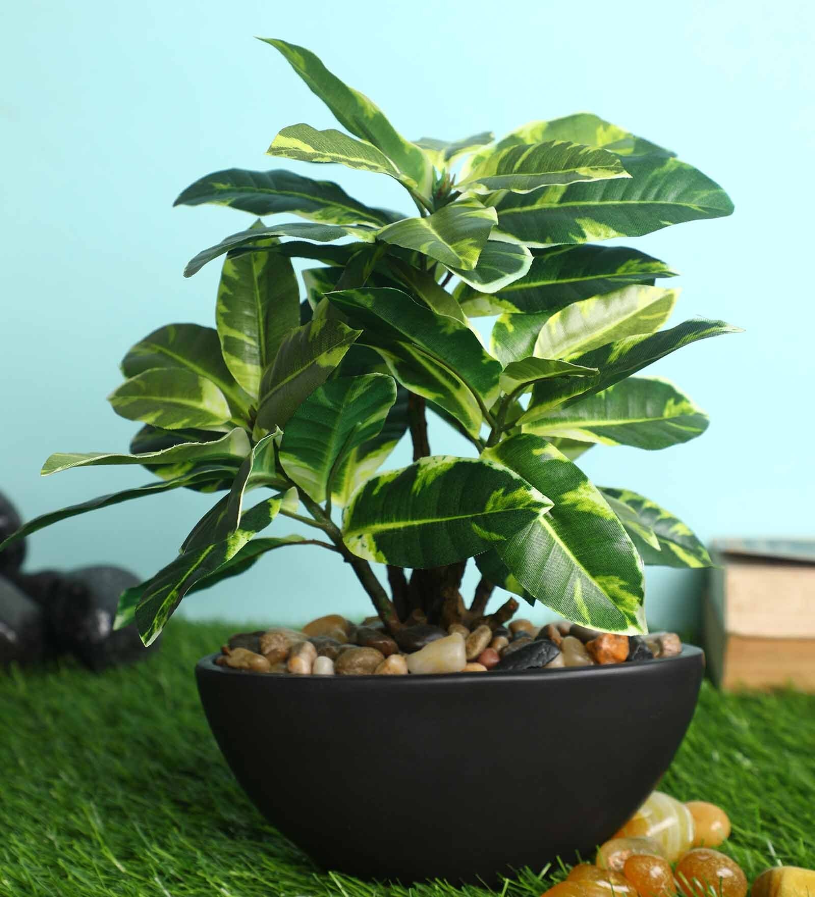 Buy Variegated Polyester Artificial Plant With pot by Pollination at 50 ...