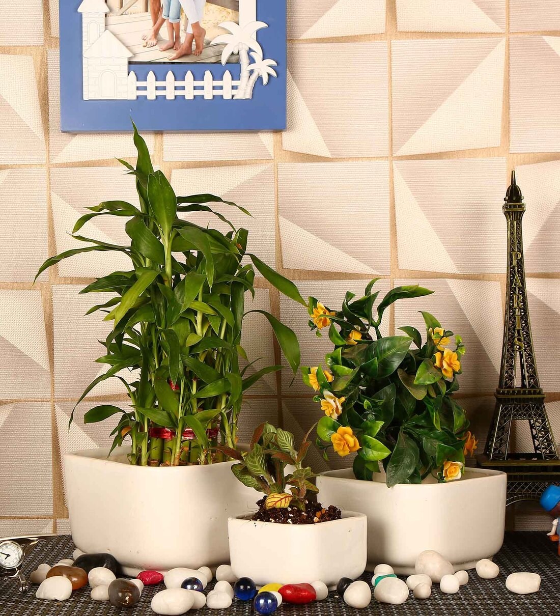 Buy White Ceramic Square Shape Flower Pot, Set Of 3 at 29% OFF by ...
