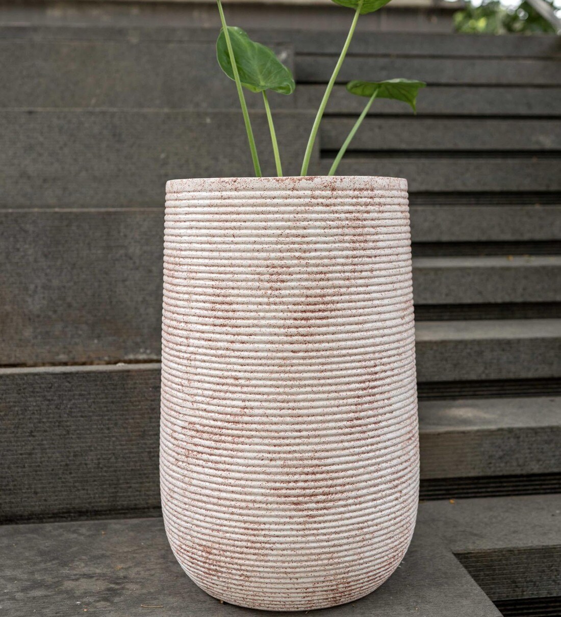 Buy White Concrete Planter by Curiocasa at 100% OFF by Curiocasa ...