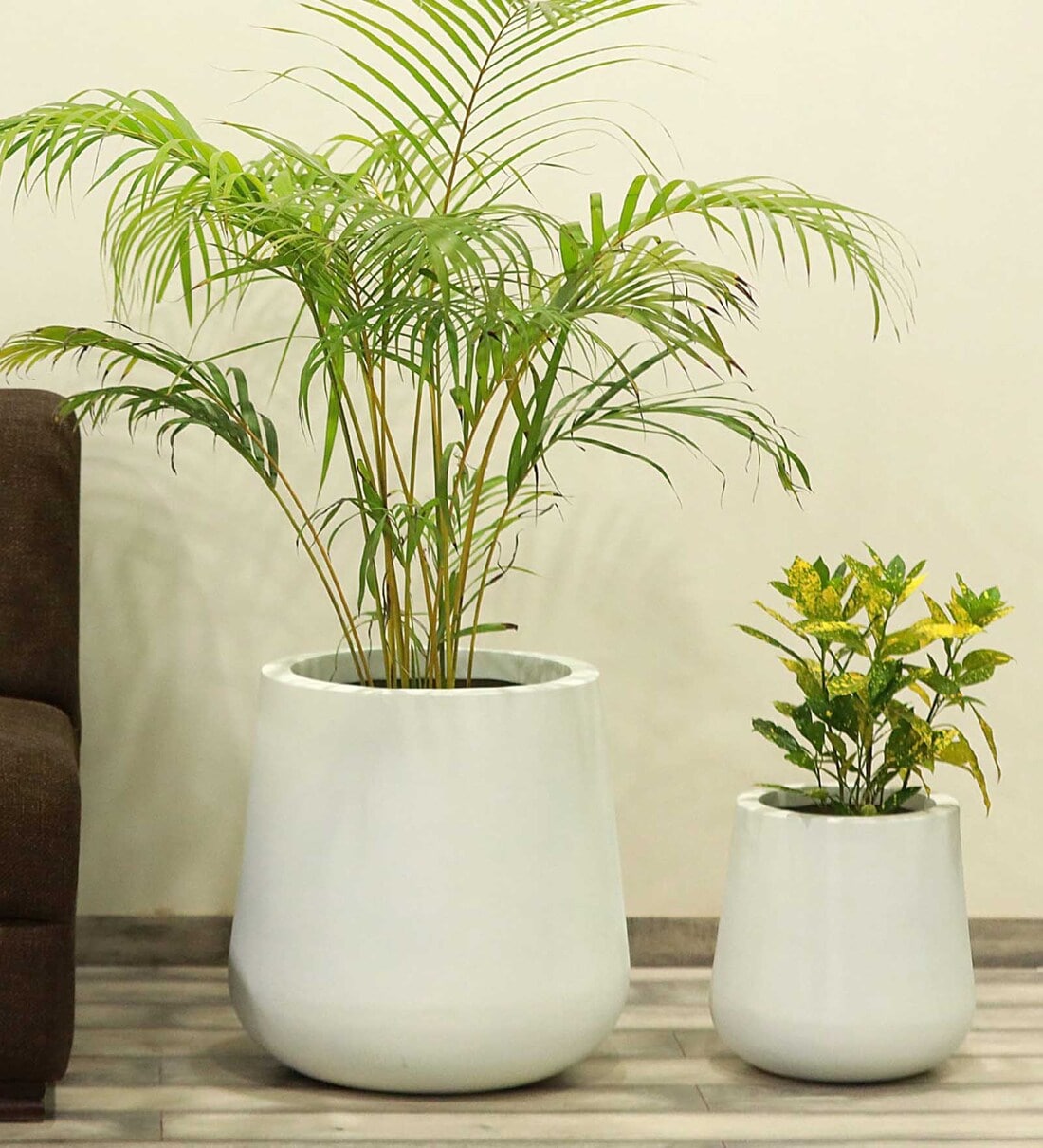 Buy White Fiber Glass Cylindrical Shaped Large Floor Planter Online ...